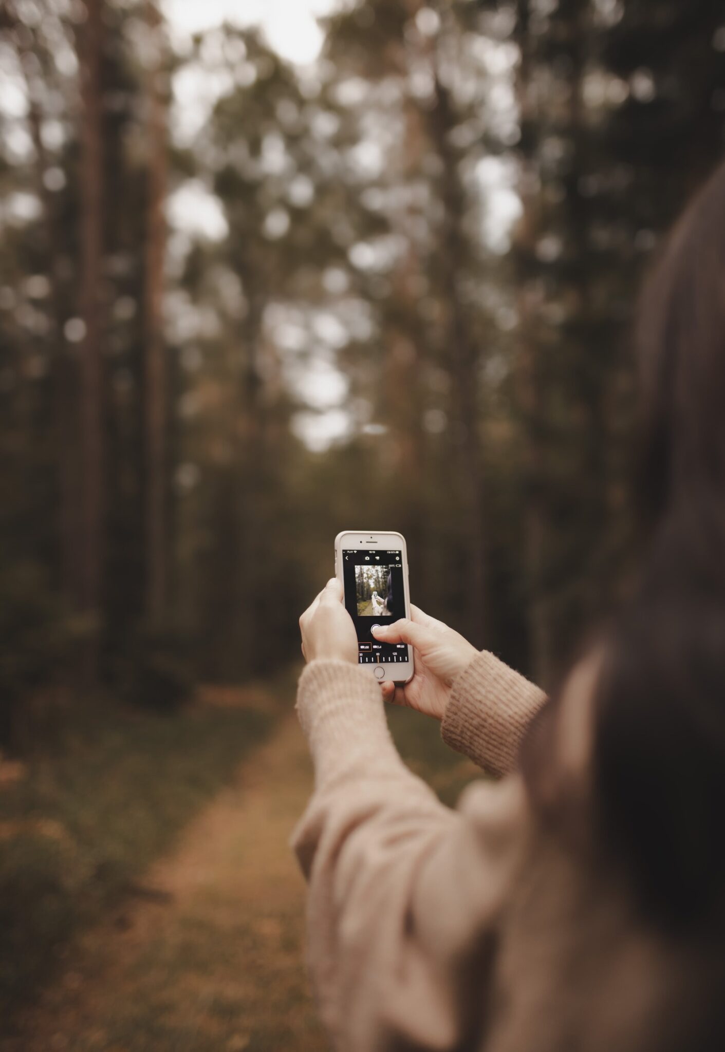 Through the Lens: The Art of Storytelling Photography - Pro-Lapse